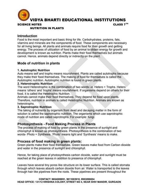 Chapter - 1, Nutrition in Plants, Science, Class 7 | PDF