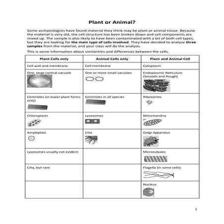 1.1 activity plant or animal cell reasoning | PDF
