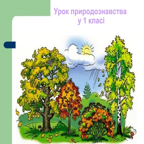 1 презентація до уроку тварини Ppt