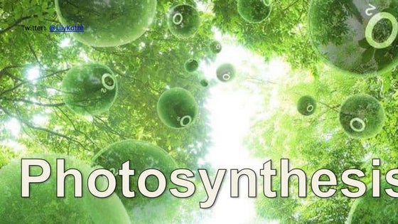 The 8 Life Processes & Homeostasis - Living Environment/Biology | PPTX