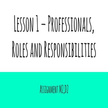 1. professionals roles and responsibilities | PPT