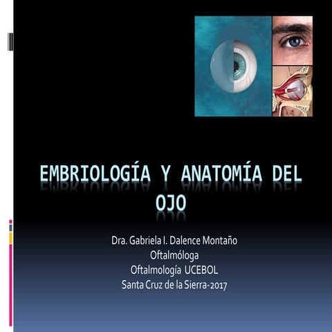 1. embriología del ojo | PPTX