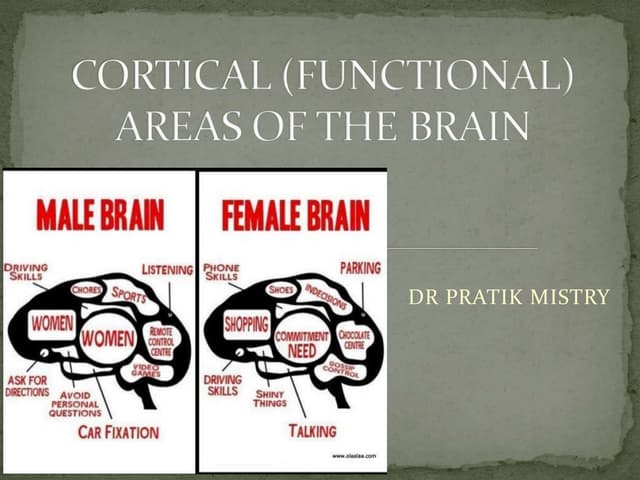 Brodmann's areas of the cerebral cortex | PPTX | Brain and Nervous System Disorders | Diseases ...