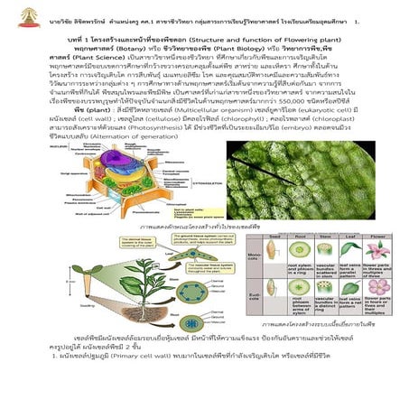 บทที่1โครงสร้างและหน้าที่พืชดอก | PDF