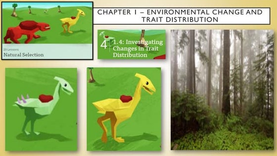 Adaptive Traits | PPT