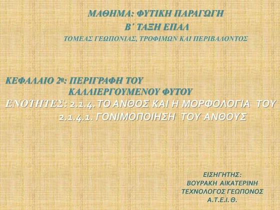 PRESENTATION -ΑΦΗΓΗΜΑΤΙΚΕΣ ΠΡΟΣΕΓΓΙΣΕΙΣ ΣΤΗΝ ΕΠΑΓΓΕΛΜΑΤΙΚΗ ...