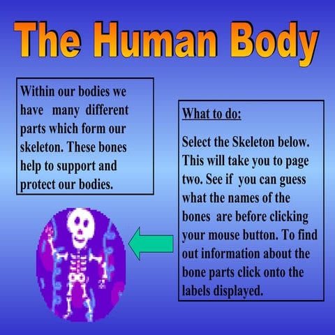 The human body egypt | PPTX