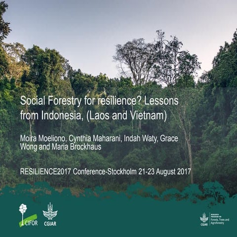 Social forestry for resilience? Lessons from Indonesia (Laos and Vietnam) | PDF