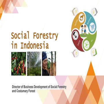Social Forestry in Indonesia | PDF