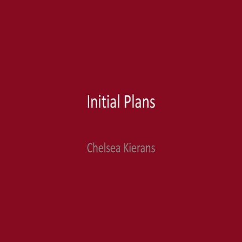 1. initial plans | PPT