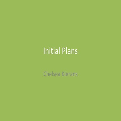 1. initial plans | PPT