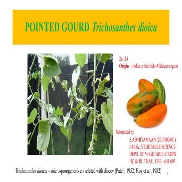 POINTED GOURD | PPTX
