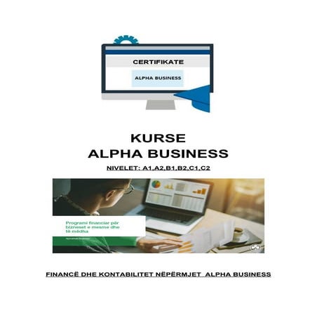Programi Alpha Business | PDF