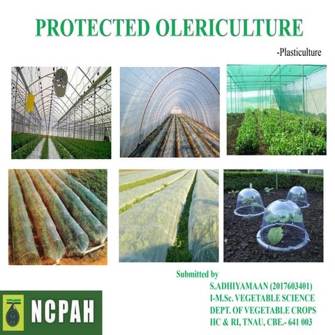 PROPAGATION BY SPECIALIZED VEGETATIVE STRUCTURE.pptx