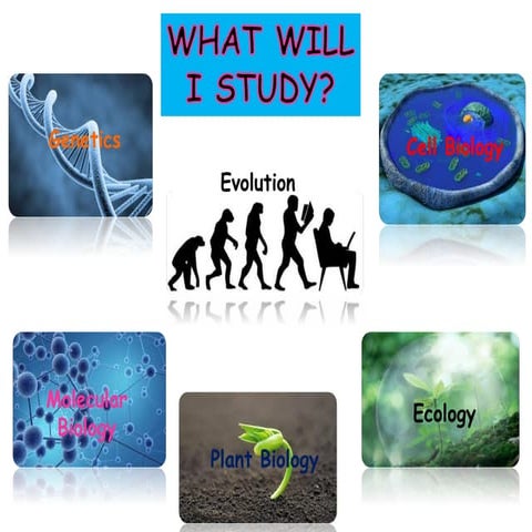 1.1 introduction-to-cells | PPT