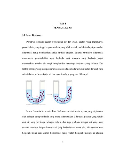 LAPORAN PRAKTIKUM FISIOLOGI TUMBUHAN DIFUSI OSMOSIS | DOCX