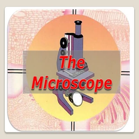 1. microscope, potato, maize | PPTX