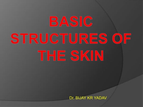 Skin: Structure and function of the skin | PPTX