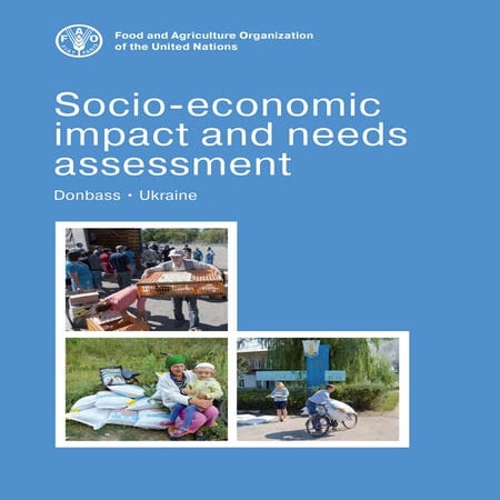 Socio-economic impact and needs assessment | PDF