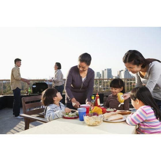 Low-Income Family | PPT