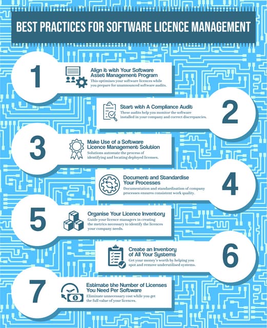 Simplify Your Software Audit with This Checklist! 📝 | PDF