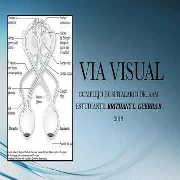 1. Via visual. | PDF