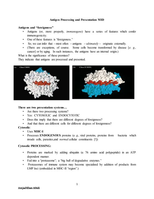 Lecture on Antigen processing and presentation pathways | PDF | Chemistry | Science