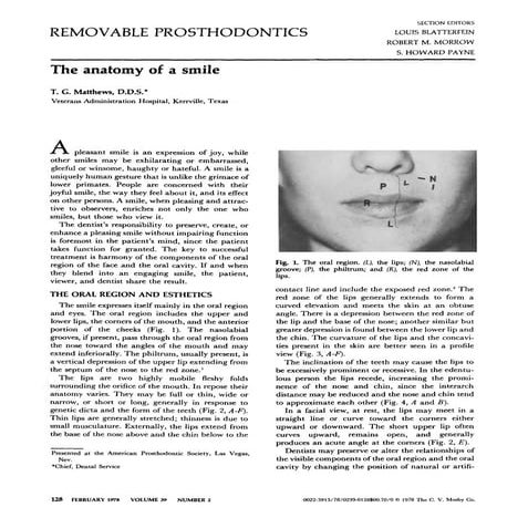 THE ANATOMY OF SMILE | PDF