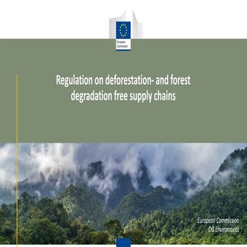Deforestation-free supply chains concepts and implications ...