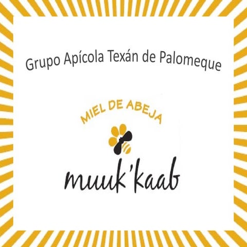 MIEL DE ABEJA MUUK'KAAB | PPT