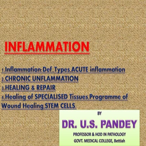 1.Acute Inflammation | PPTX