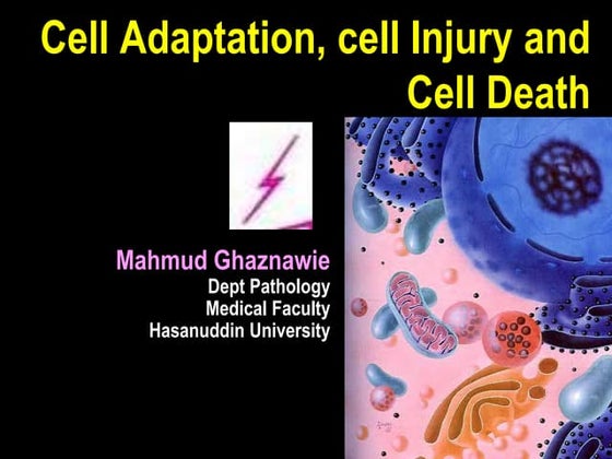 Cell injury | PPTX