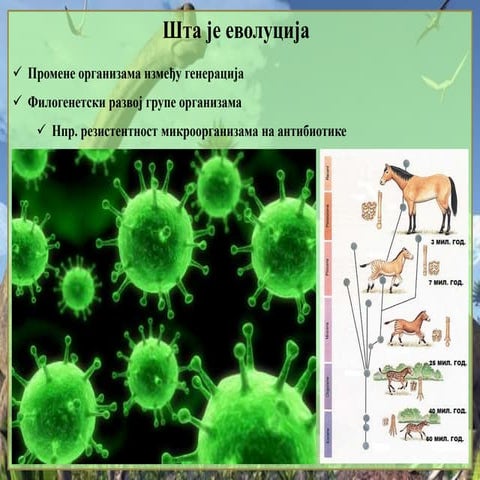 1. Podaci o evoluciji, hemijska i bioloska evolucija | PPT