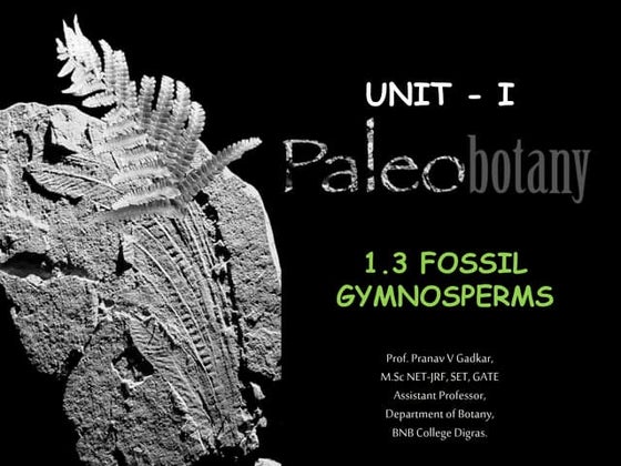 Botany:Pentoxylales | PPTX