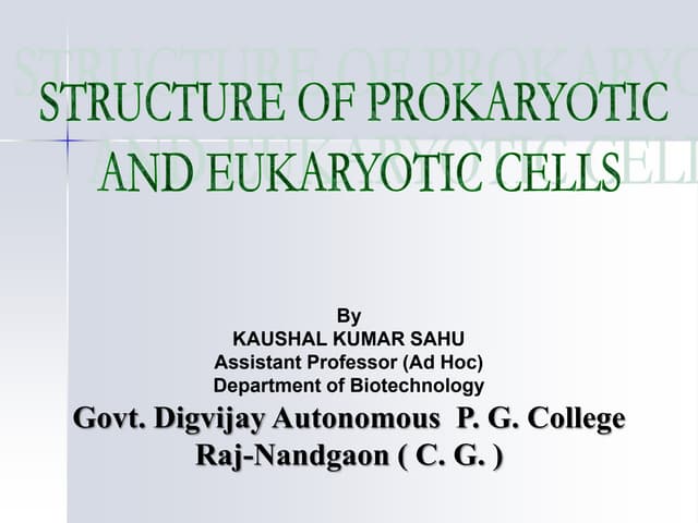 Lesson 3 Prokaryotic vs Eukaryotic Cell | PDF