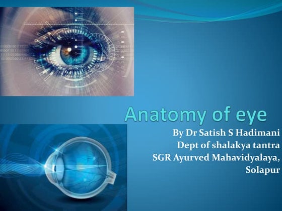 ppt on Eye anatomy | PPT
