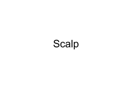 Scalp | PPTX