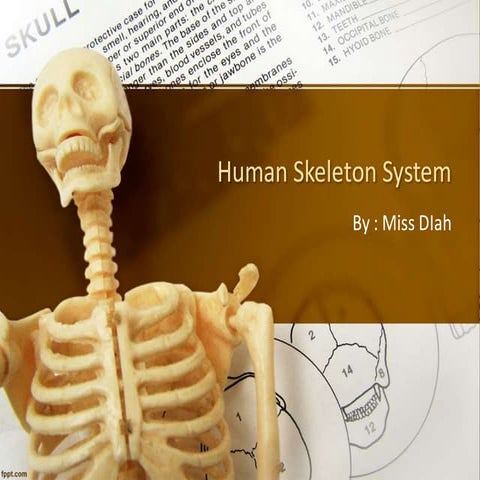 1. materi science p4 ws skeleton | PDF