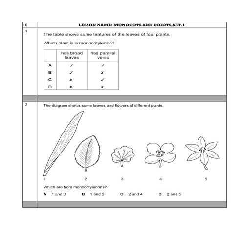 1.6 monocots and dicots-set-1-qp | PDF