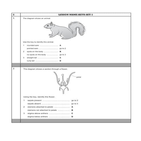 1.7 dichotomous keys-set-1-qp | PDF
