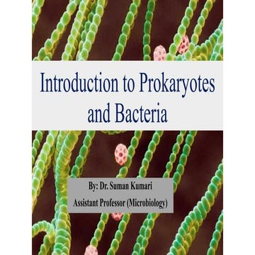 1. bacteria and prokaryotes | PDF
