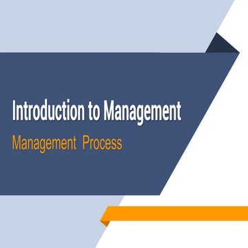 MOB 1.1 Management Process | PDF