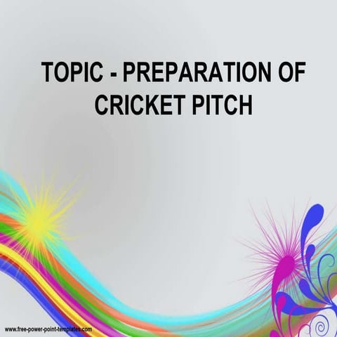 Basic guide to turf cricket pitch preparation | PDF