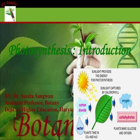 Photosynthesis - Introduction | PPT