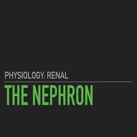 1. the nephron | PDF