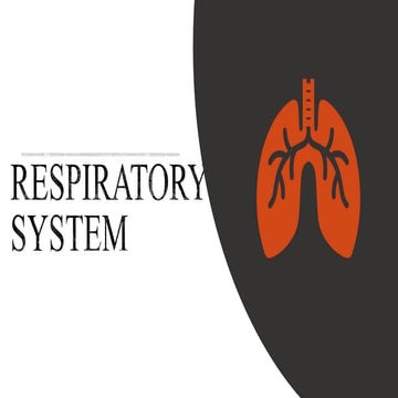 1. Respiratory System.pptx