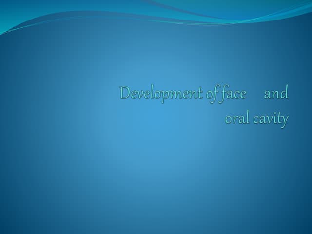 Third week of human development | PPTX