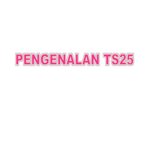 Kerangka TS25.ppt