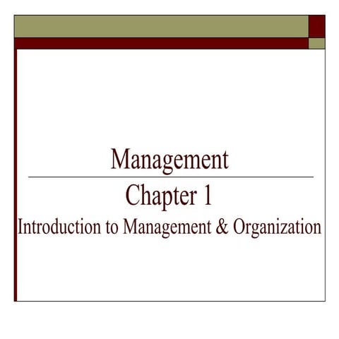 1. management_overview.ppt