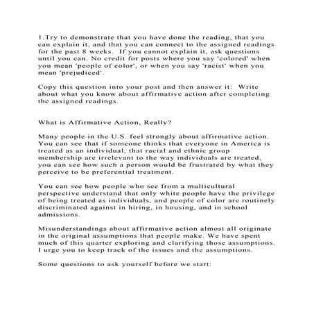 Affirmative Action Strategies For The Future | PDF